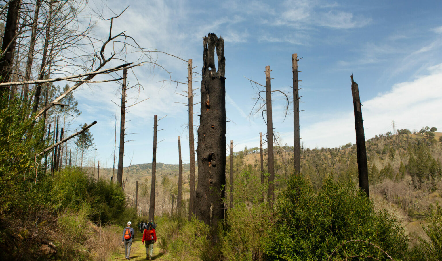 Planning Process – Mark West Creek Regional Park and Open Space Preserve